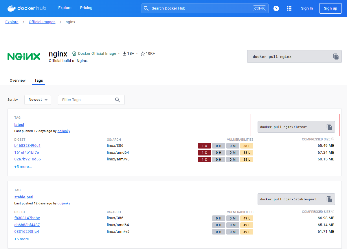 搭建 Web 服务器 Nginx - 霍格沃兹测试开发学社-教程网站